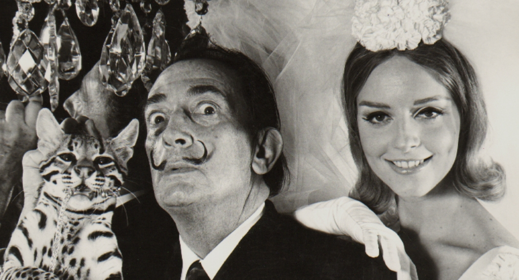 Dali_ocelot | Les Hardis