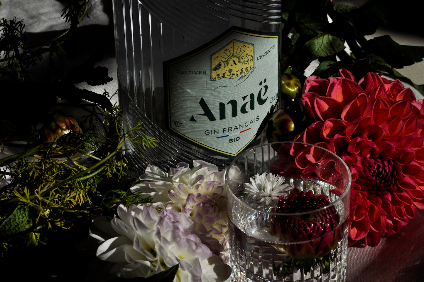 Dégustation : Anaë, le gin français version Bollinger | Les Hardis