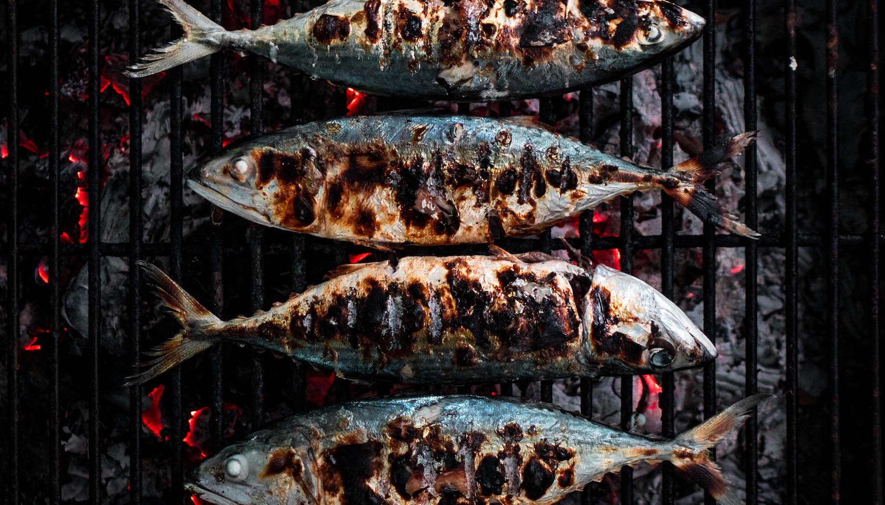 Quelle saison pour quel produit de la mer