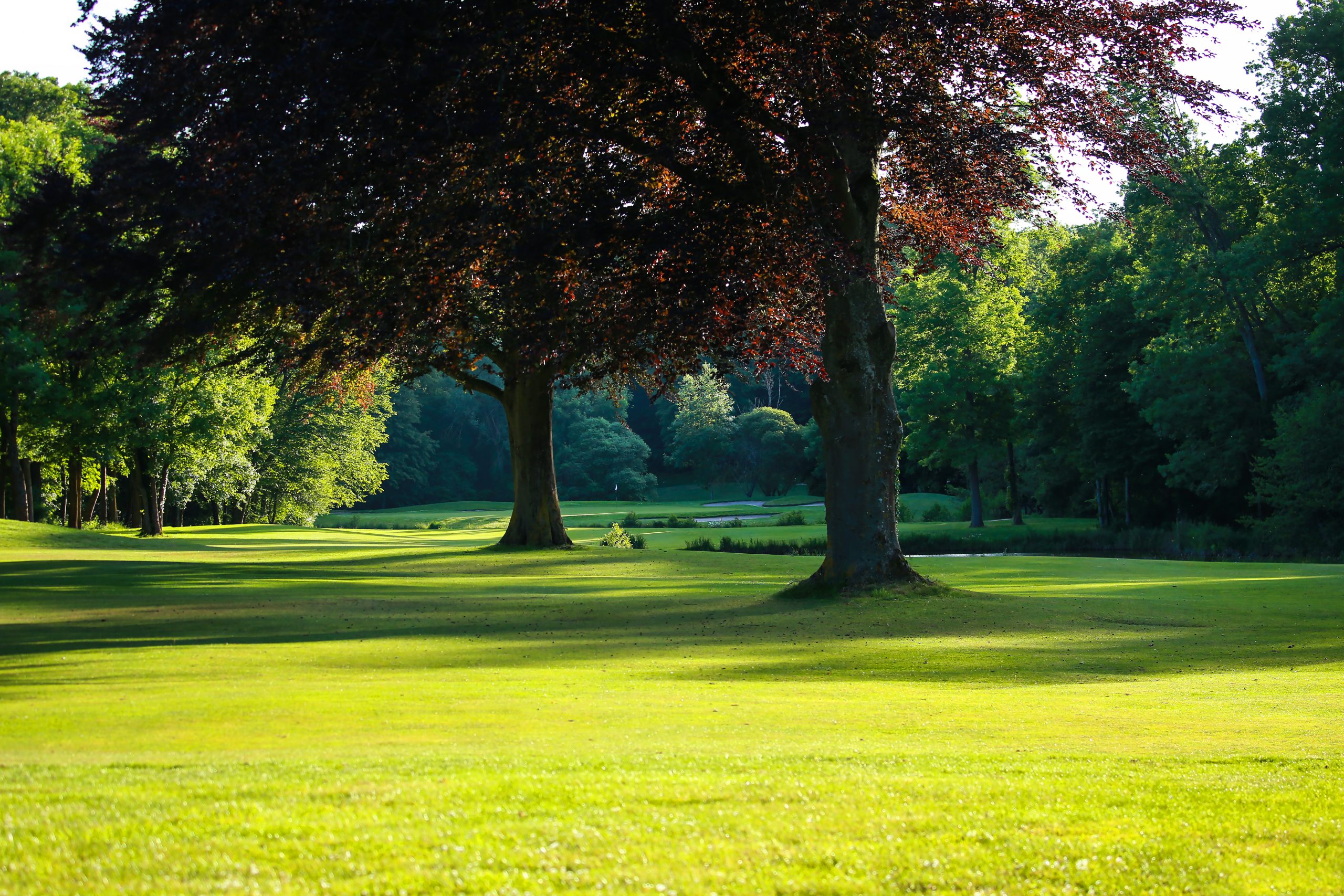 Les 6 parcours de golf autour de Paris | Les Hardis