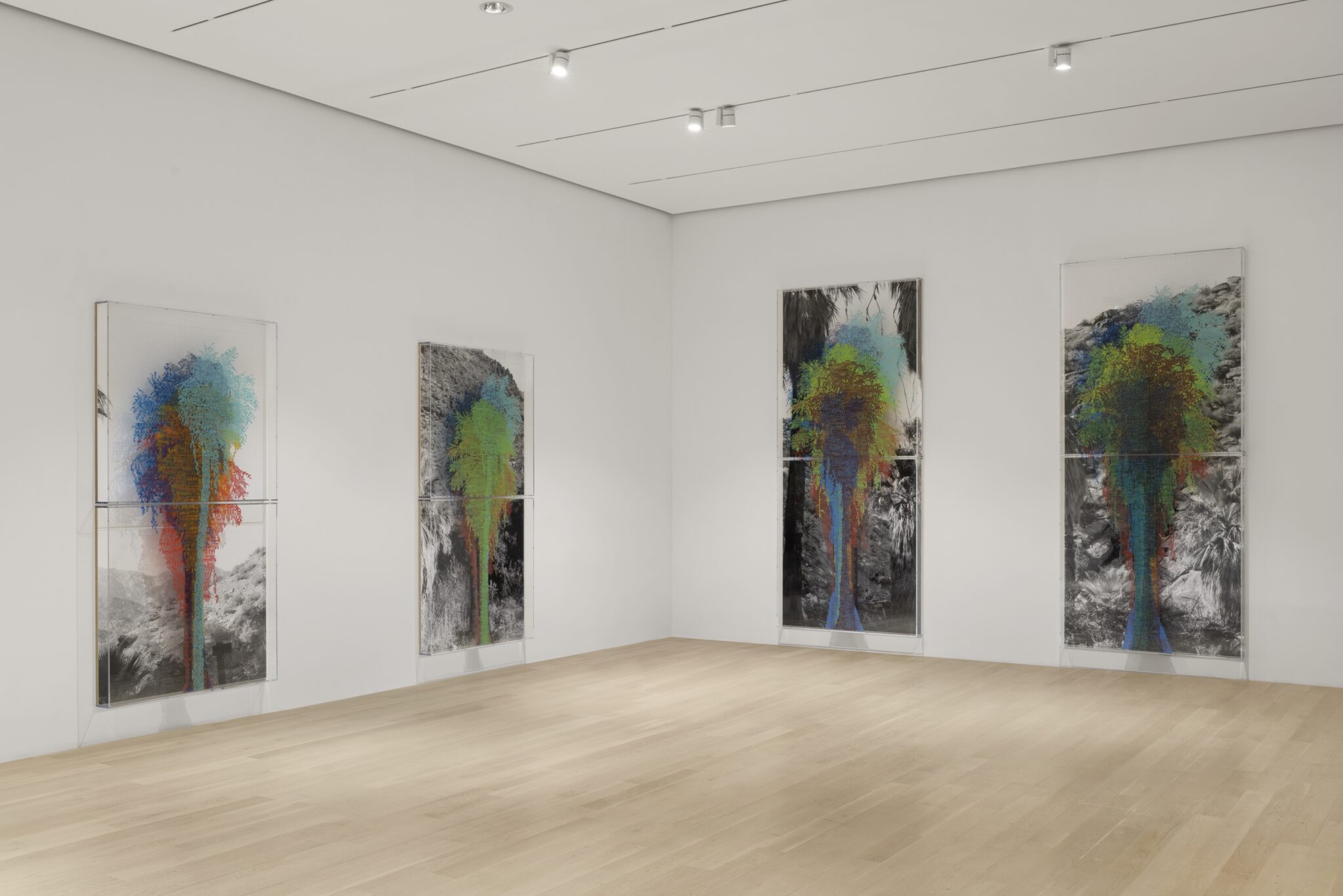 Les meilleurs et plus beaux musées de Miami